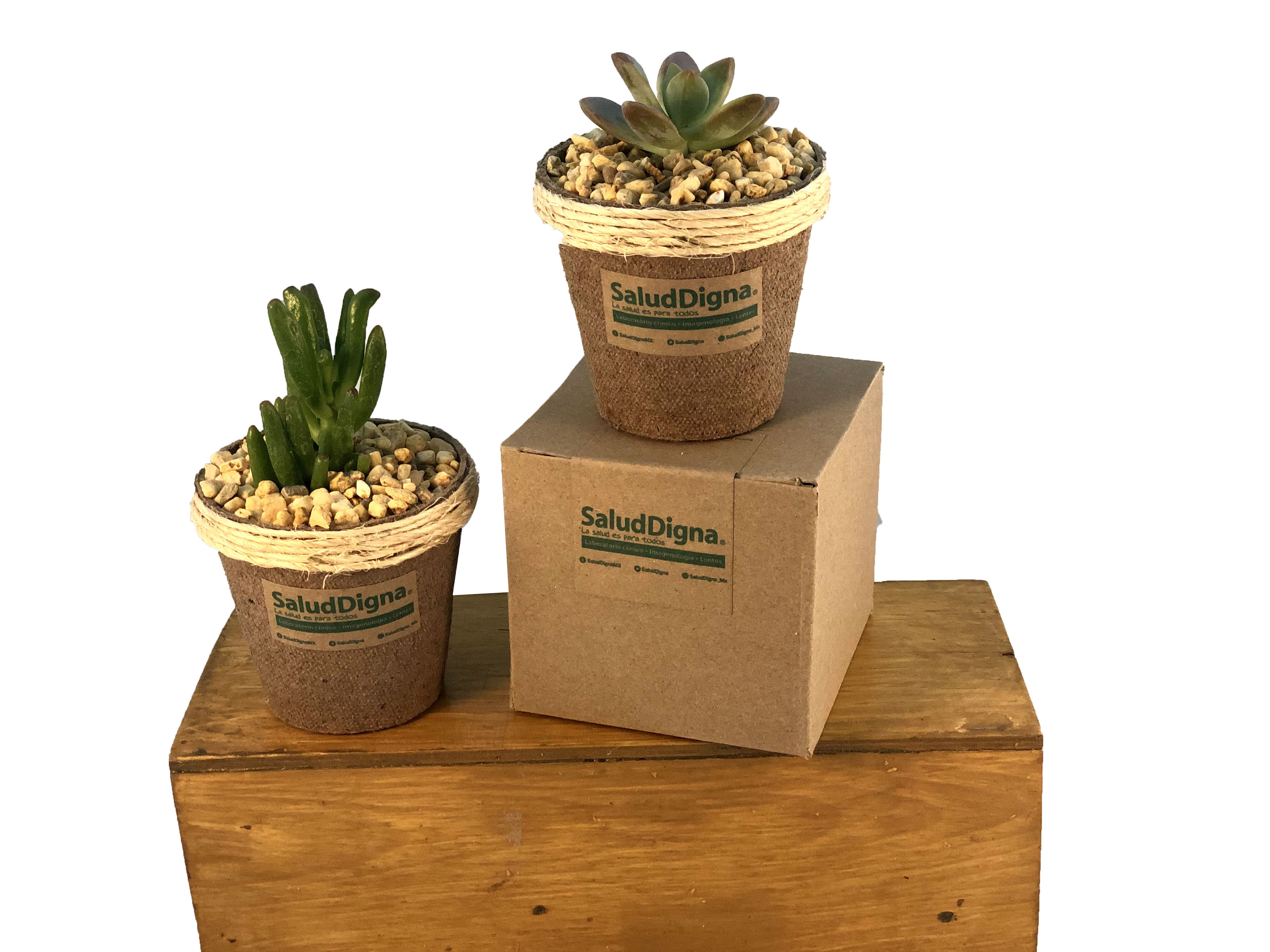 Eco Promocionales - Productos 100% Ecológicos 100% Innovadores